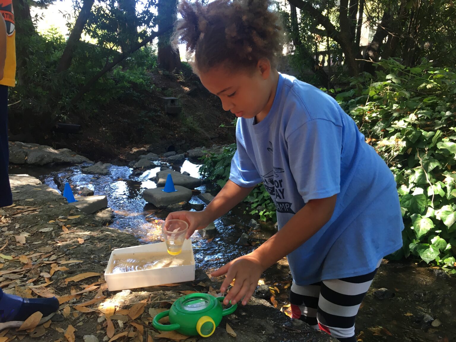 Camp Rangers Program (CRs) – KIDS for the BAY