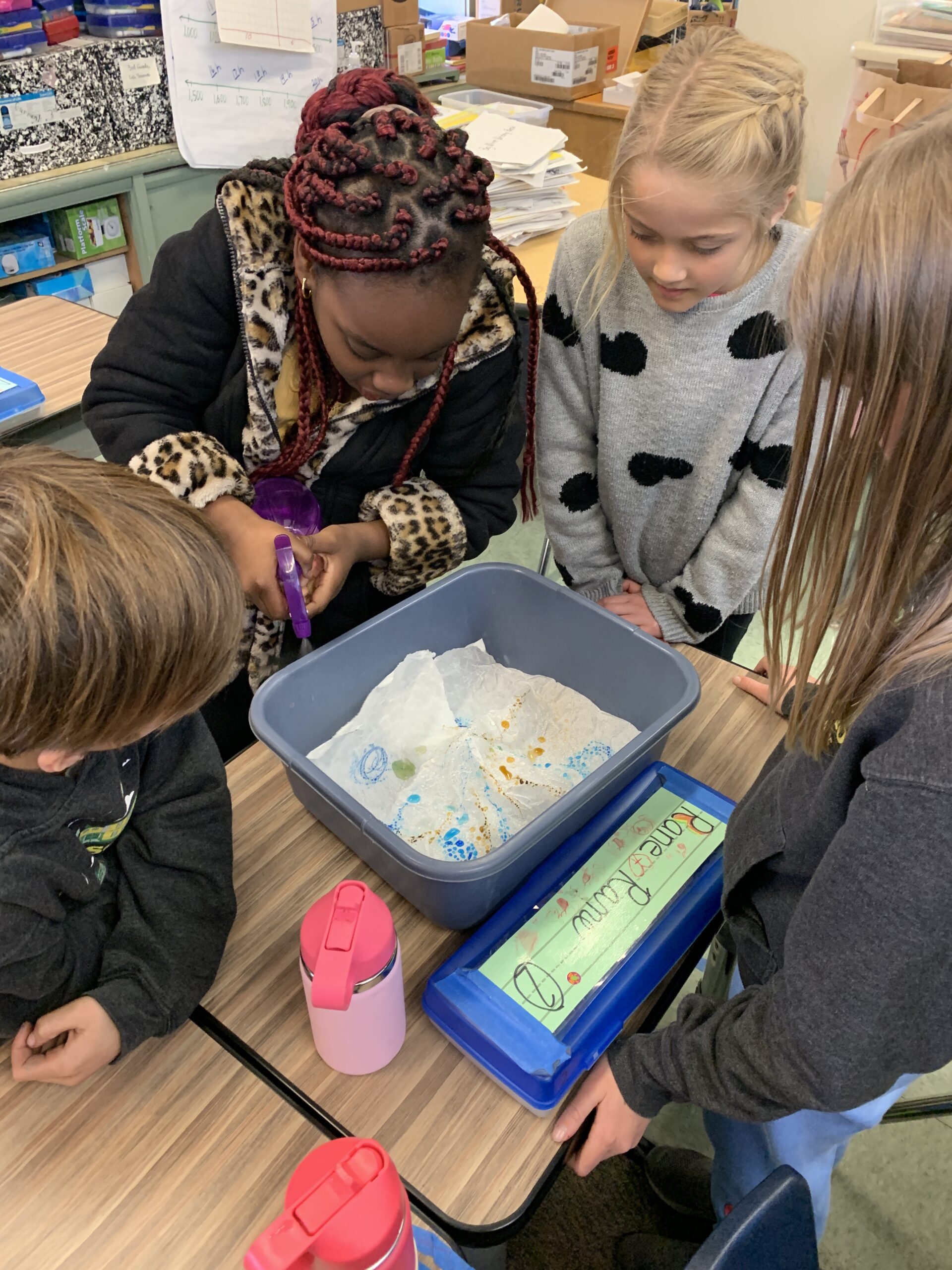 Mini Watershed Models – KIDS for the BAY